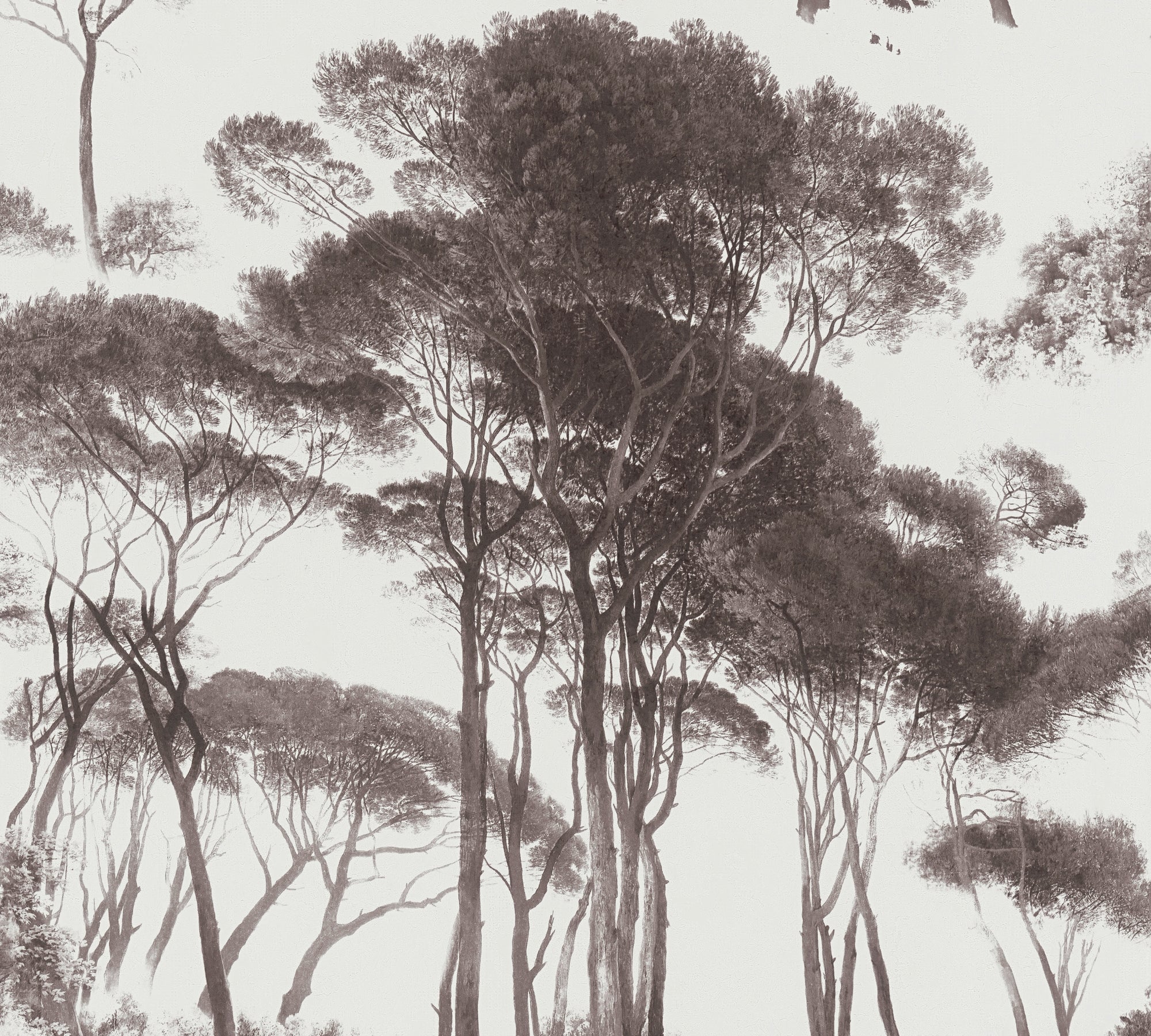 Tree Tops Wallpaper Online NZ | The Inside