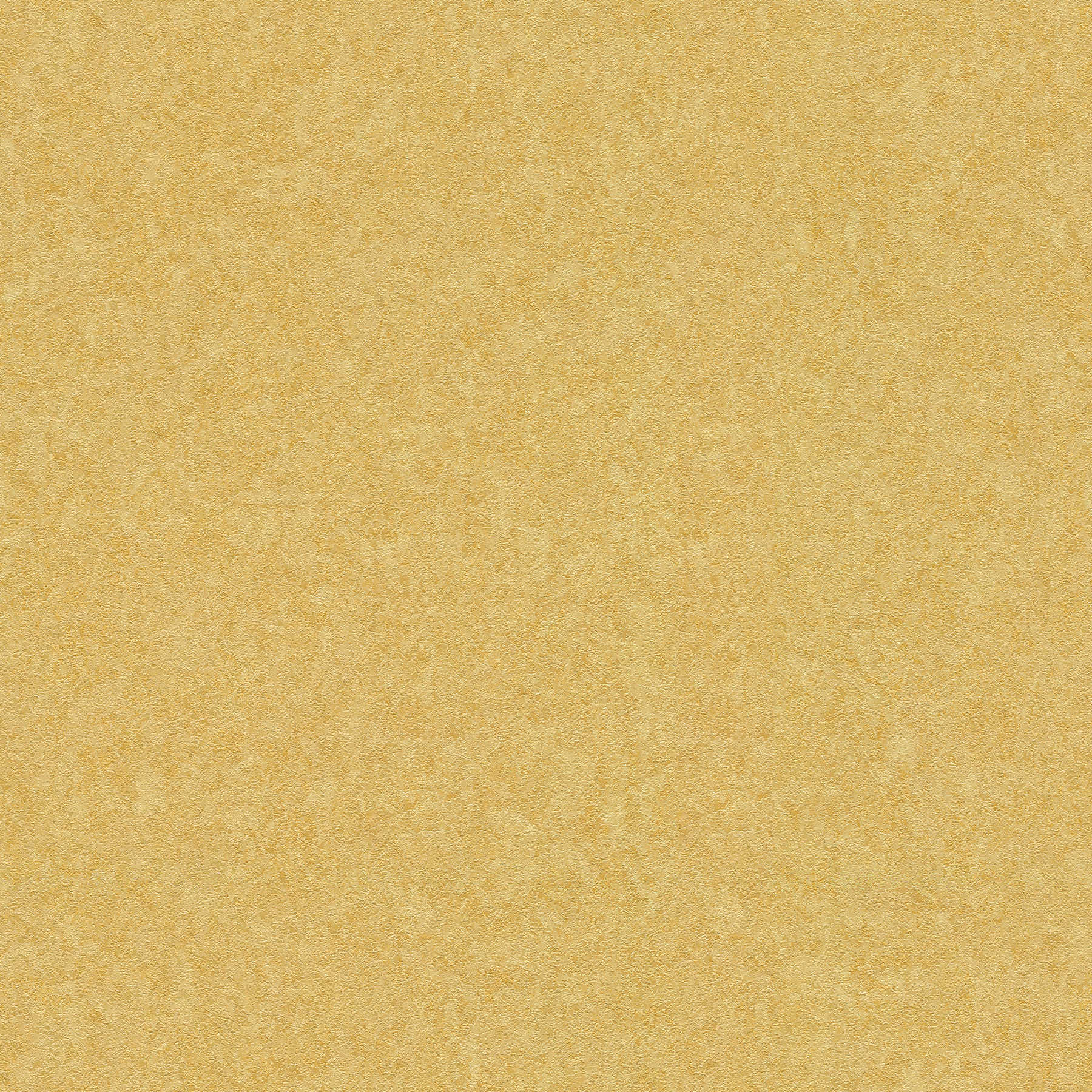 Versace Coordinates Online NZ | The Inside