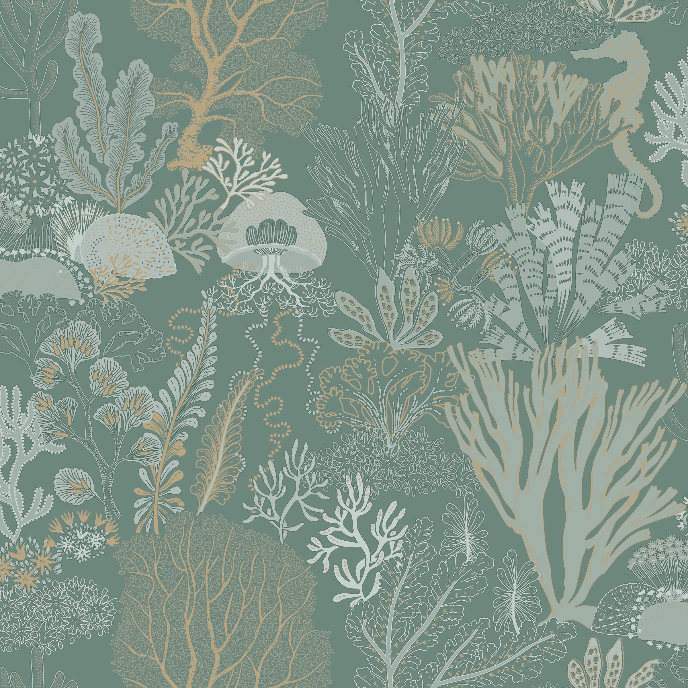 Nautilus Wallpaper - Aqua – The Inside