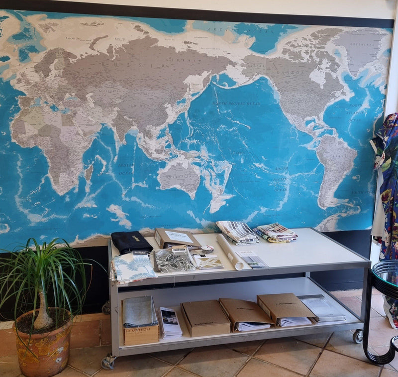 NZ Centre World Map Mural Online NZ | The Inside
