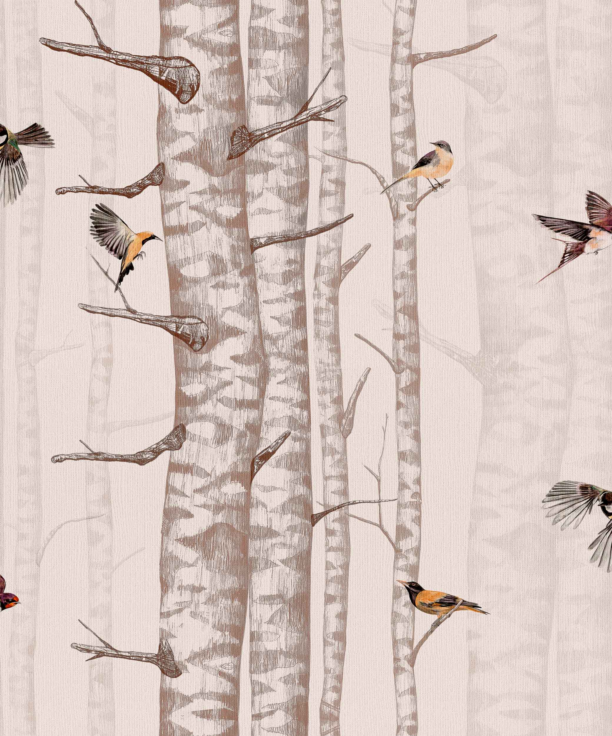 Birch Trees Wallpaper - Faint Pink – The Inside